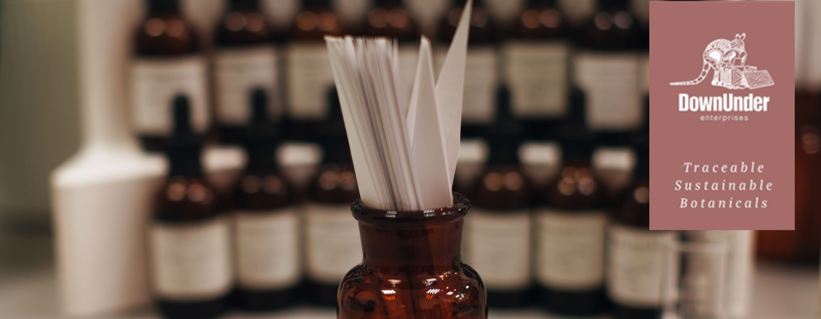 Newsletter September 2023 - Essential Oils not as Chemicals